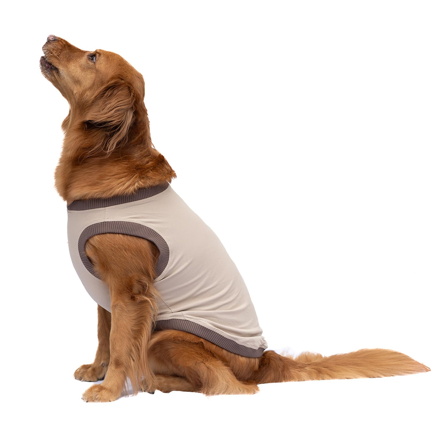 Amazon.com : AUZ Dog Pet Clothes Vest Sleeveless Shirt Sweatershirt for ...
