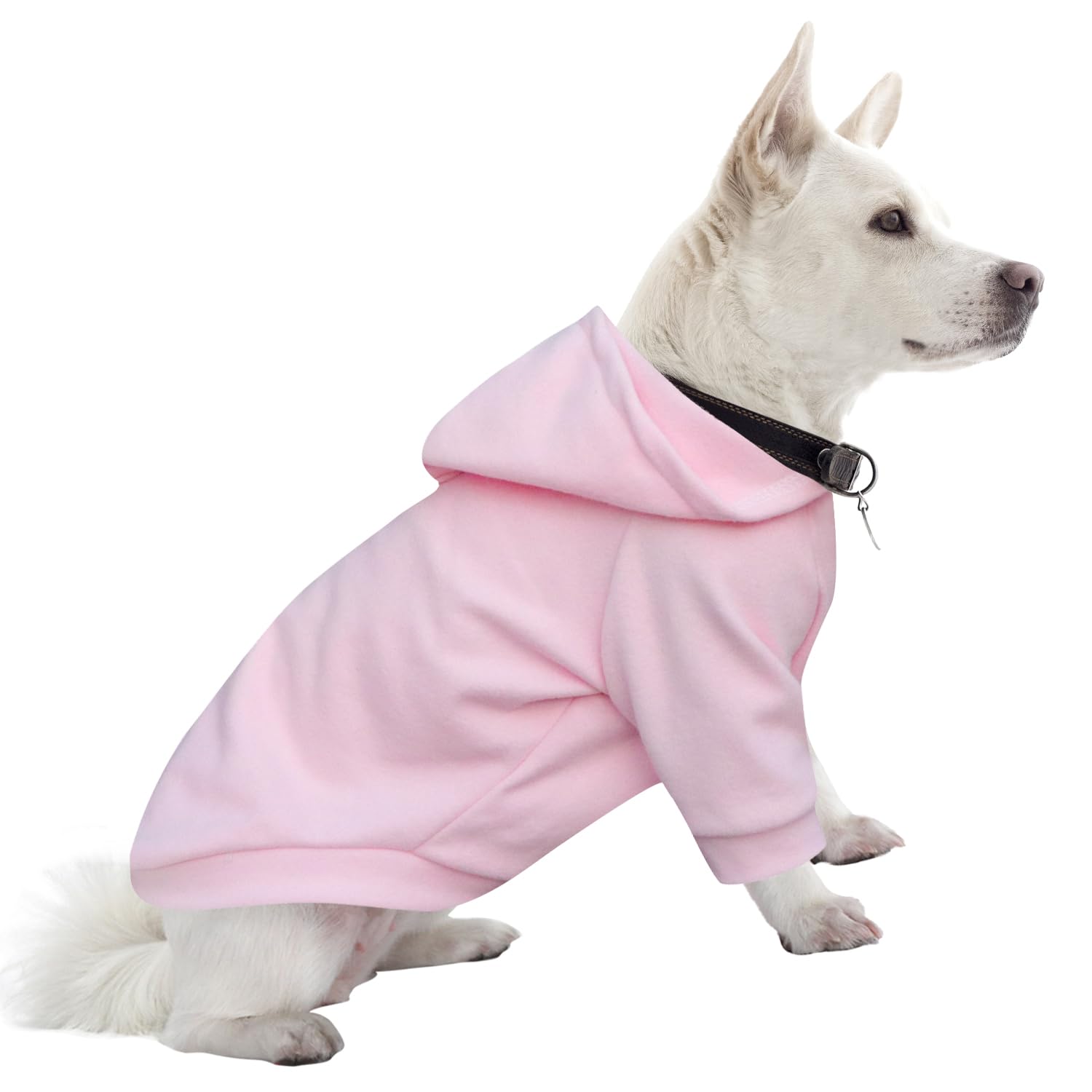 Amazon.com : HuaLiSiJi Dog Hoodie Dog Sweatshirt Pet Wear Hoodie Small ...