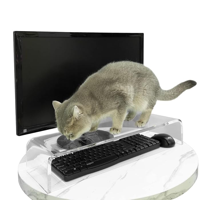 Buy Keyboard Cover Anti-Cat, Clear Plexiglass Keyboard Protector ...