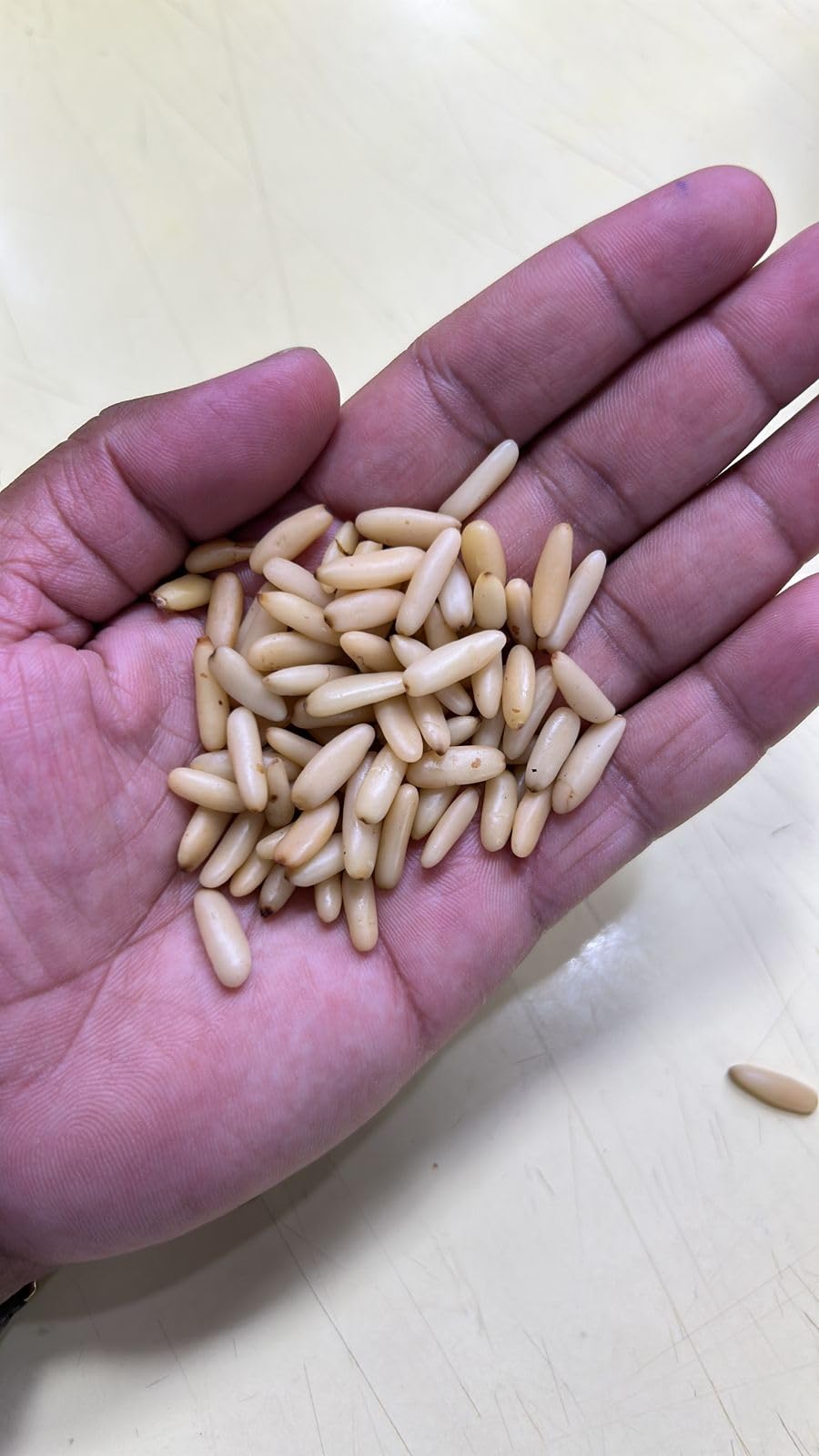 EXCELLENT FOODS - Pine Nuts/Chilgoza | 500 Gm : Amazon.in: Grocery ...