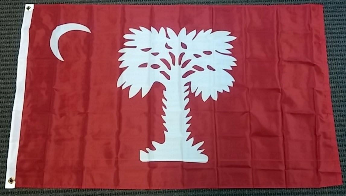 Amazon.com: The Citadel Big Red South Carolina Polyester 3x5 Foot Flag ...