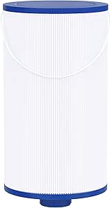Amazon.com: Wowreed Spa Filter Compatible with 303279, FC-2402, Free ...