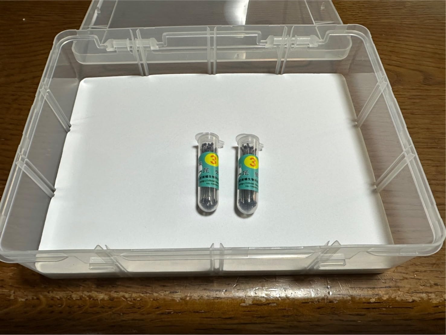 Amazon | GRIRIW 1セット透明標本箱 大号昆虫 植物展示キット 生物実験用教育ツール 蓋付きで に保護 昆虫標本の収集愛好者に | 捕虫器