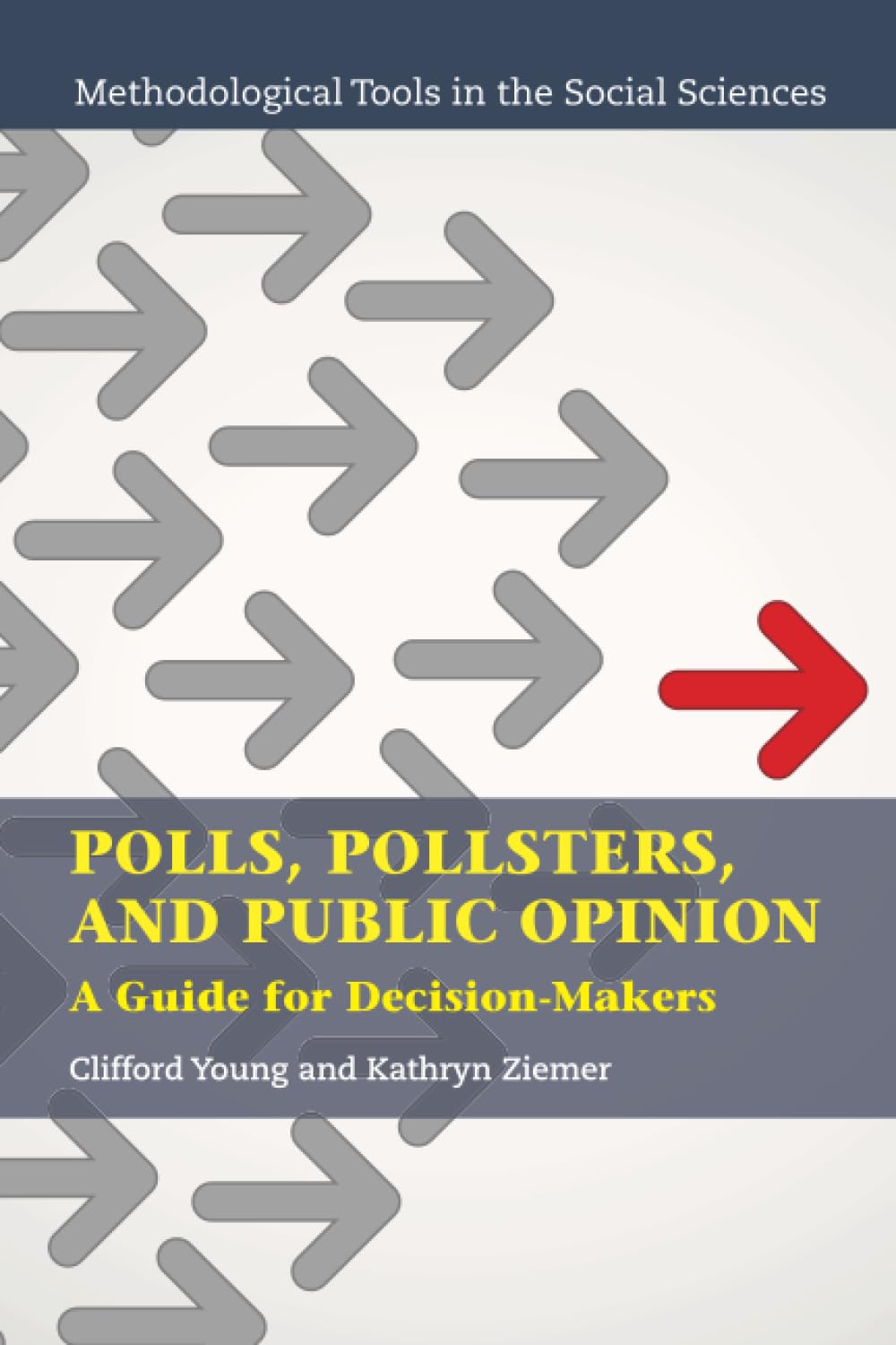 Amazon.com: Polls, Pollsters, and Public Opinion (Methodological Tools ...