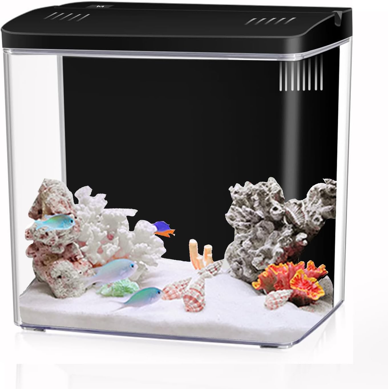 Aqua One Betta Haven Aquarium 5L : Amazon.co.uk: Pet Supplies