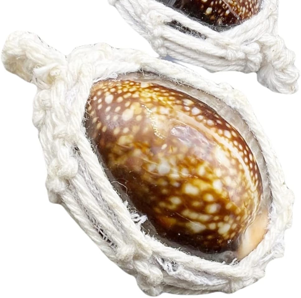 Amazon.com: Magic Amulet Bia Kae Shell White Rope Embed Takrud Talisman ...