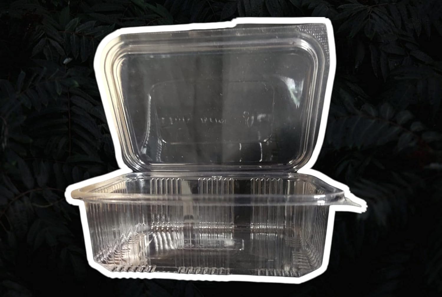 Oracle polyplast hinged container with attached lid 750ml (300 ...