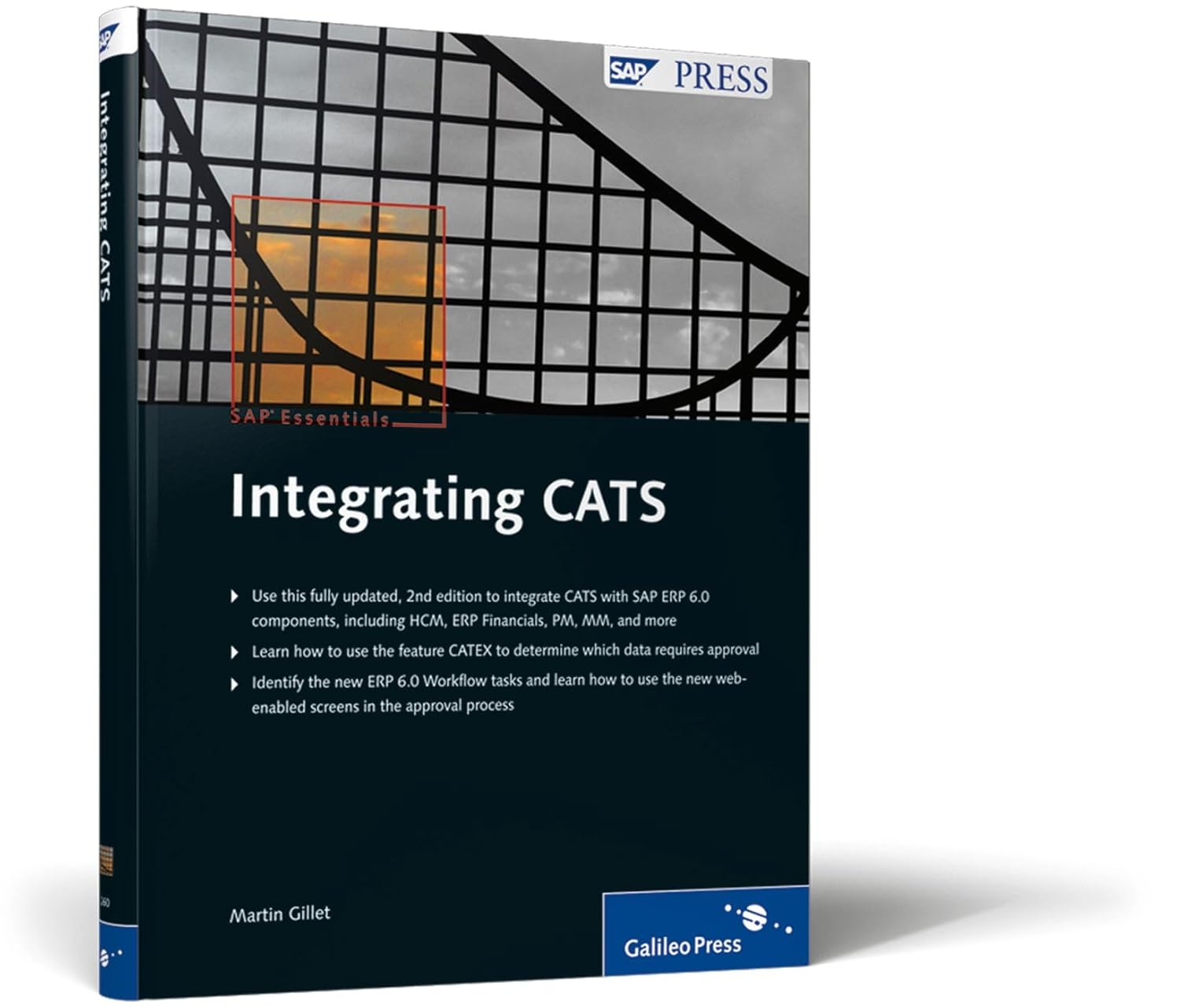 Integrating Cats: Sap Press Essentials #58: Gillet, Martin ...