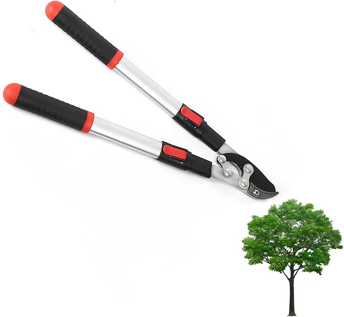 Tree Loppers - Premium Compound Action Loppers with Sharp SK5 Steel ...