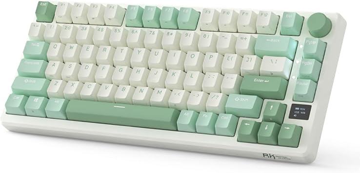Amazon.com: RK ROYAL KLUDGE M75 Wireless Mechanical Keyboard 2.4Ghz/BT5 ...