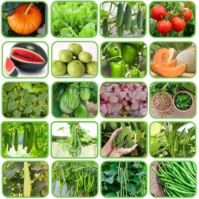All season Vegetable Combo Pack With High Germination (1730+ Seeds ...