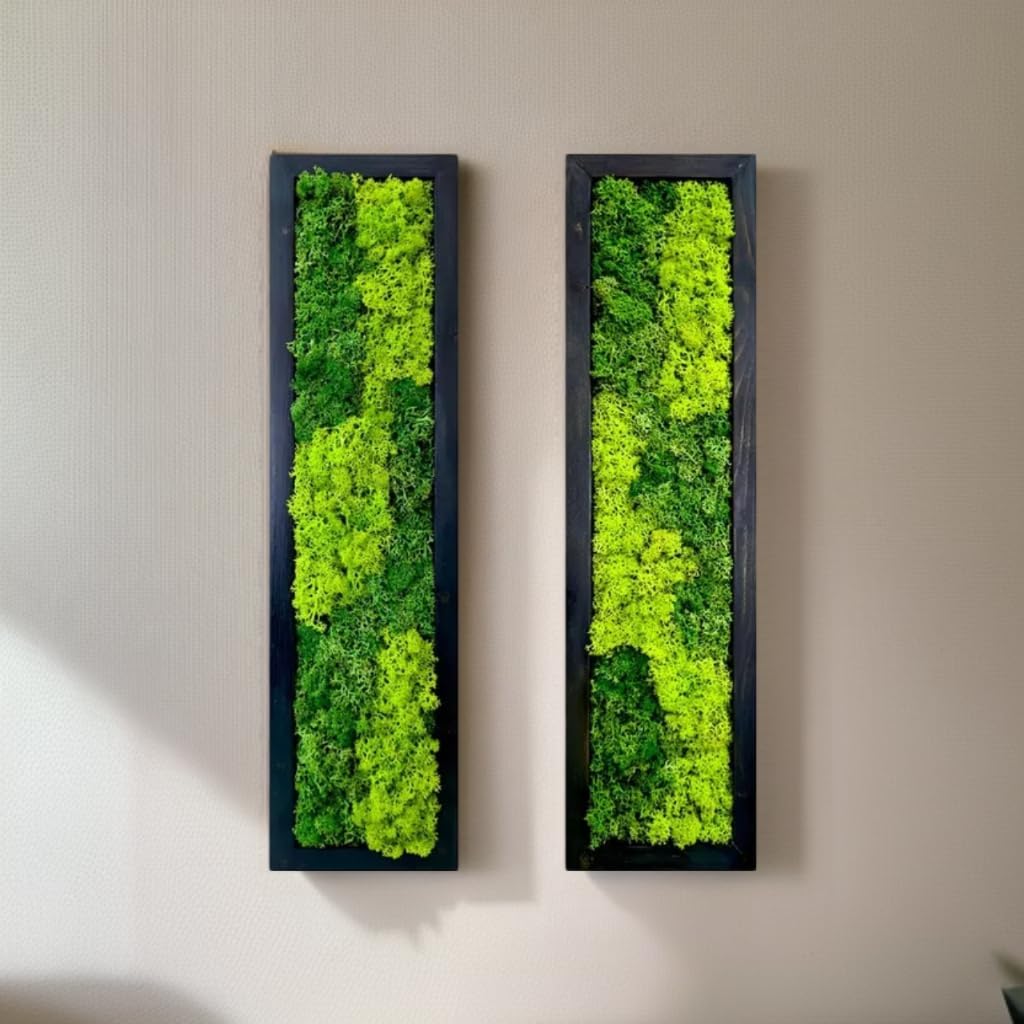Amazon.com: Moss Pattern Wall Art - Real Moss, Zero Maintenance - Eco ...