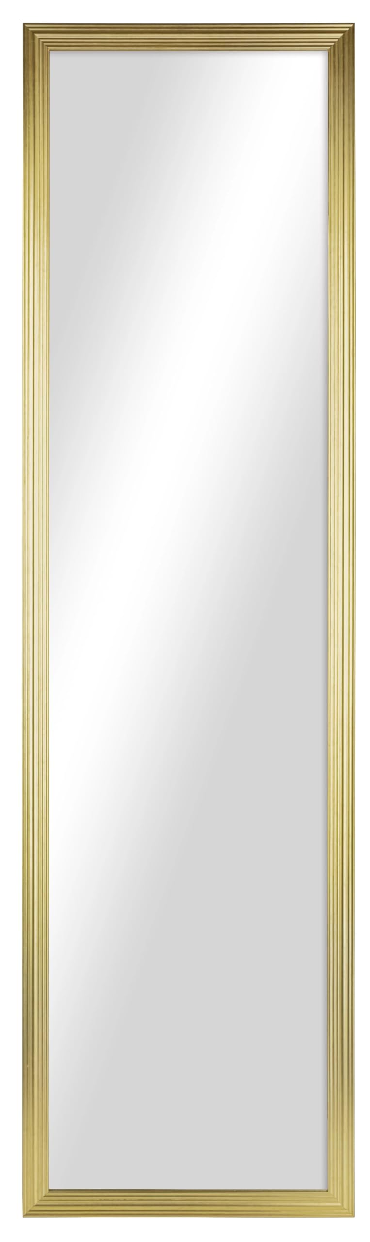 13x49 Rectangular Full-Length Black Mirror (Gold)