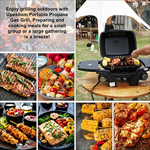 Portable Propane Gas Grill, 2-Burner Portable Gas Grill Small Tabletop ...