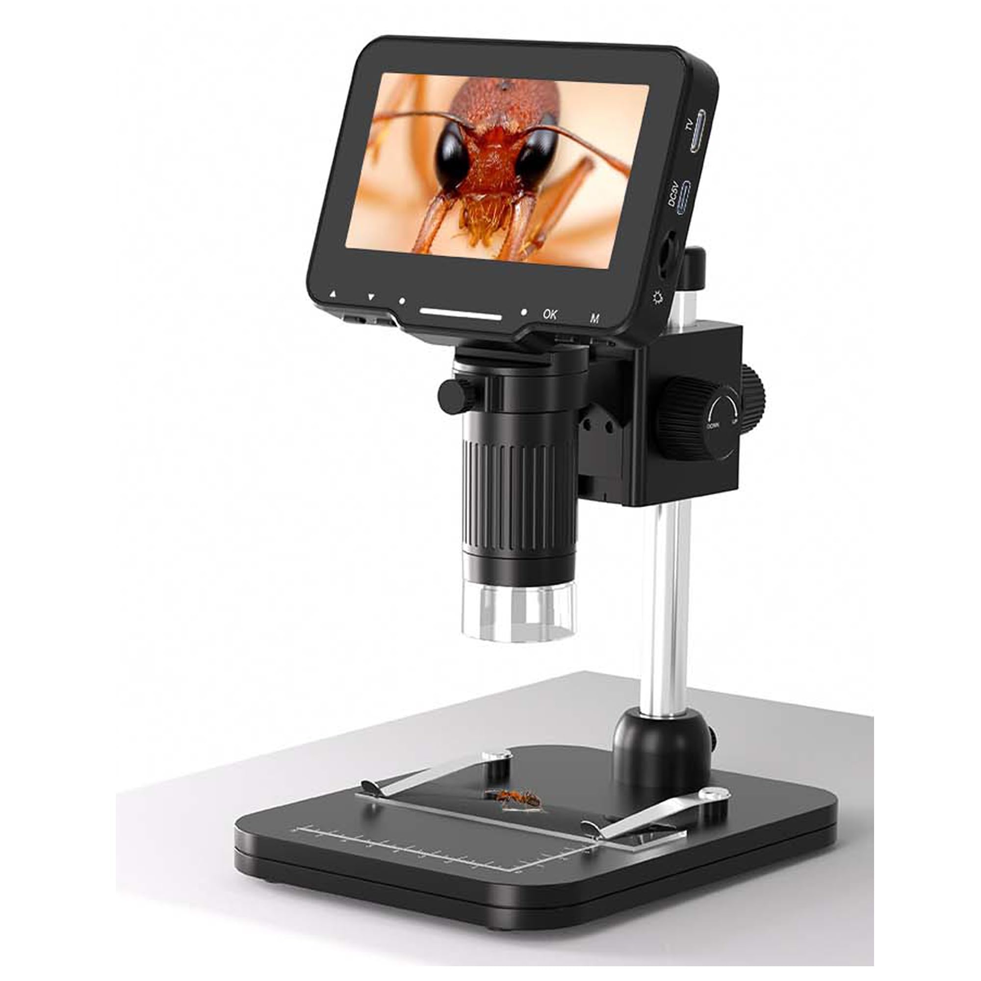 Amazon.com : 4.3 Coin Microscope, 1080P HD, 4.3" LCD Digital Microscope ...