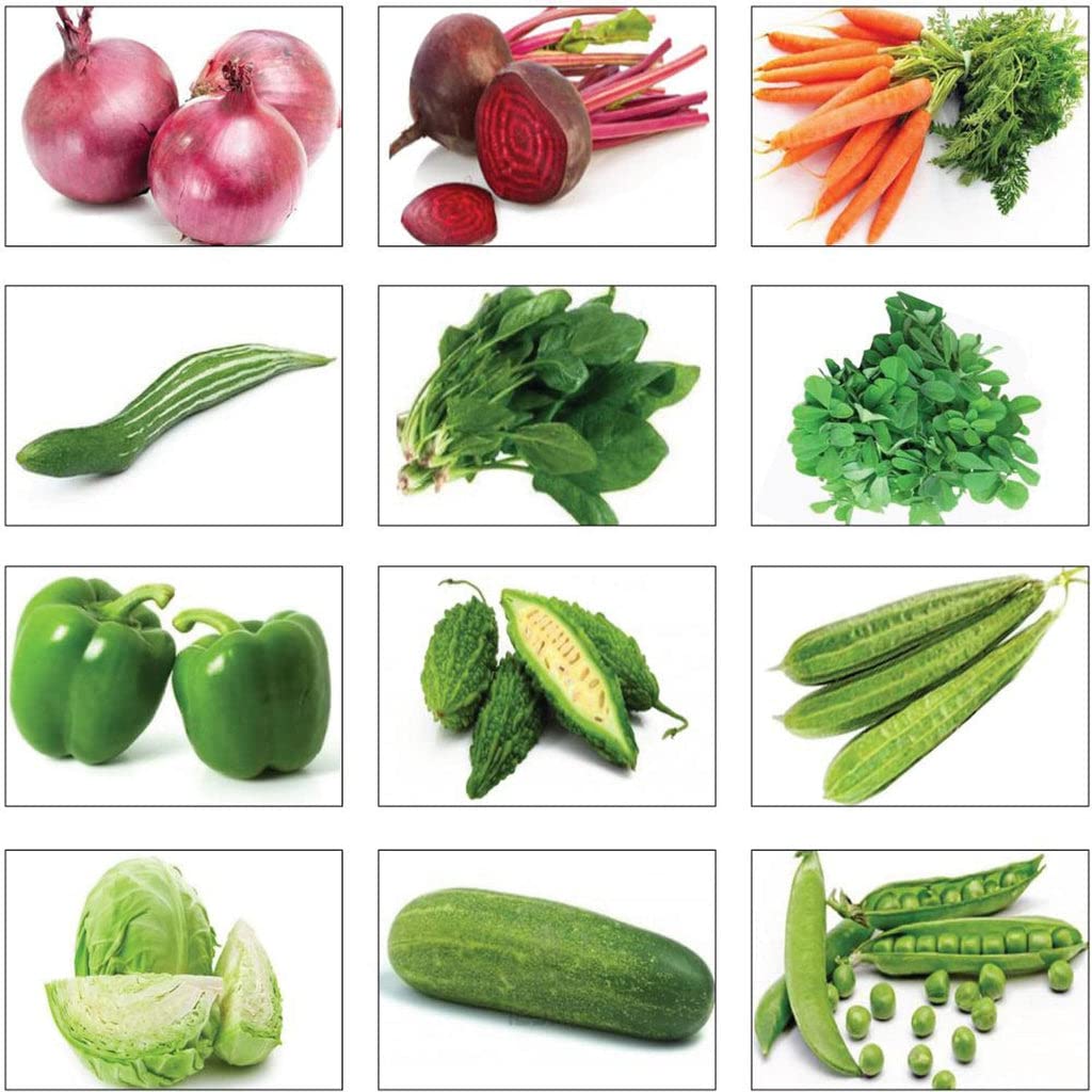 Vegetable seeds grow in rainy season (250 seeds) : Amazon.in: Garden ...
