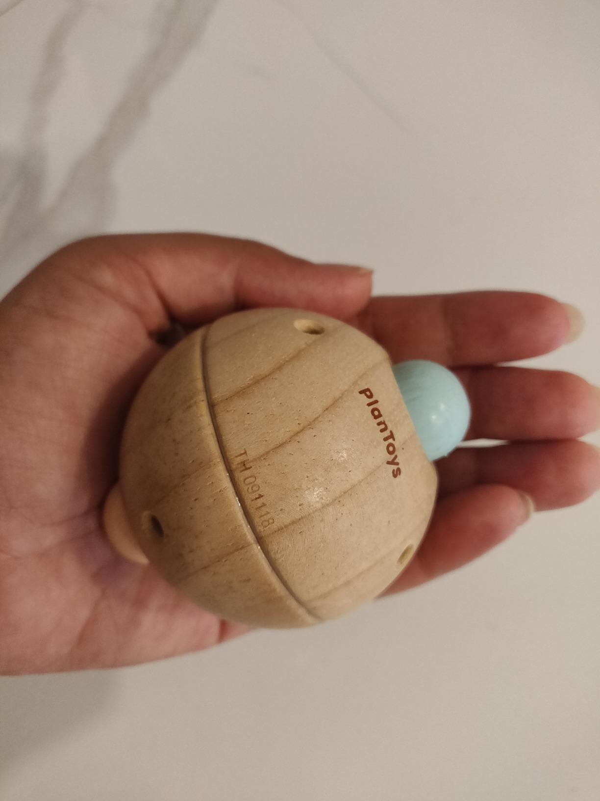 Buy Plan Toys Beeping Ball - Wooden Set Online at Low Prices in India ...