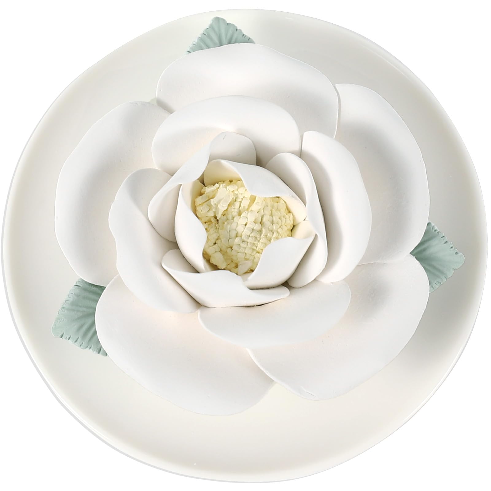 Amazon.com : Passive Diffuser for Essential Oil-Ceramic Diffuser Non ...