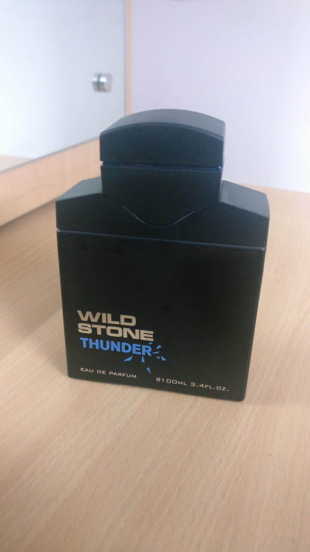 Buy Wild Stone Thunder Eau De Perfume for Men, 100ml Online at Low ...