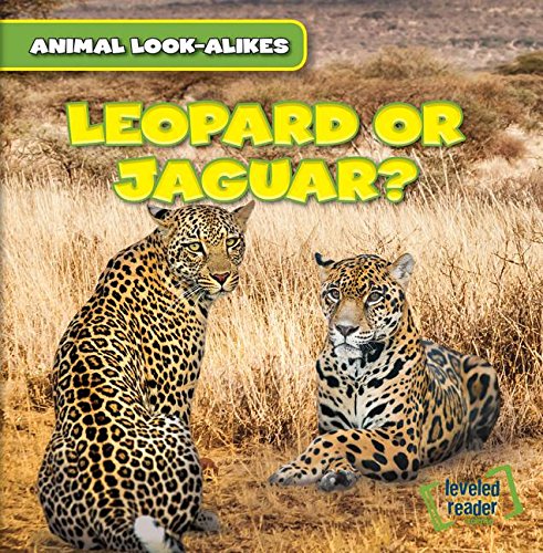 Jaguar Books for Children | Rainforest Unit Study