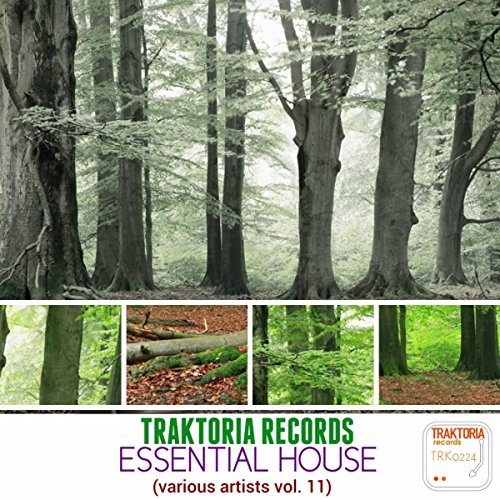 Play Essential House, Vol. 11 by VARIOUS ARTISTS on Amazon Music