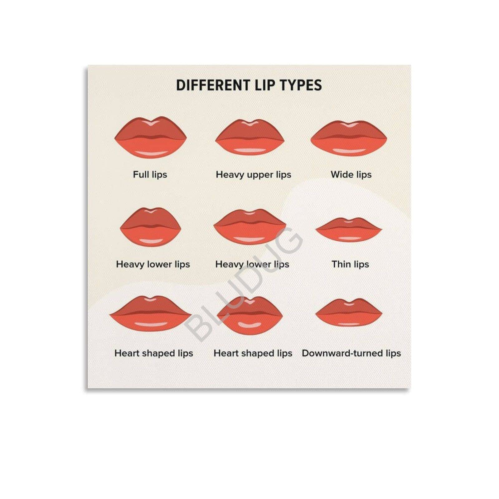 Different Lip Types