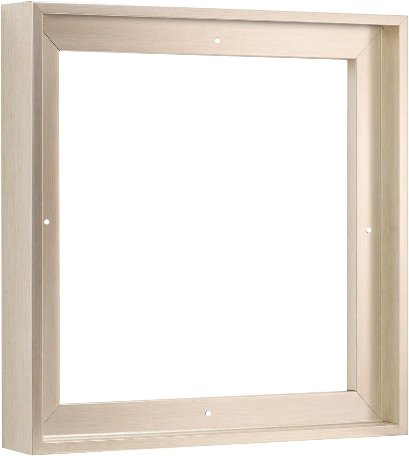 Amazon.com - MCS Canvas Float Frames 12x12 Frame, Black & Gold Square ...