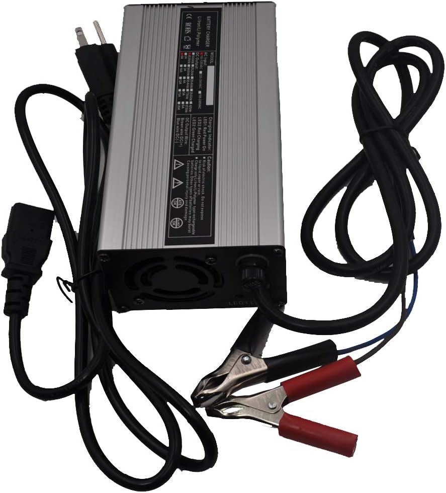 Amazon.com: Aegis Battery 36V 8A Constant Current/Constant Voltage LFP ...