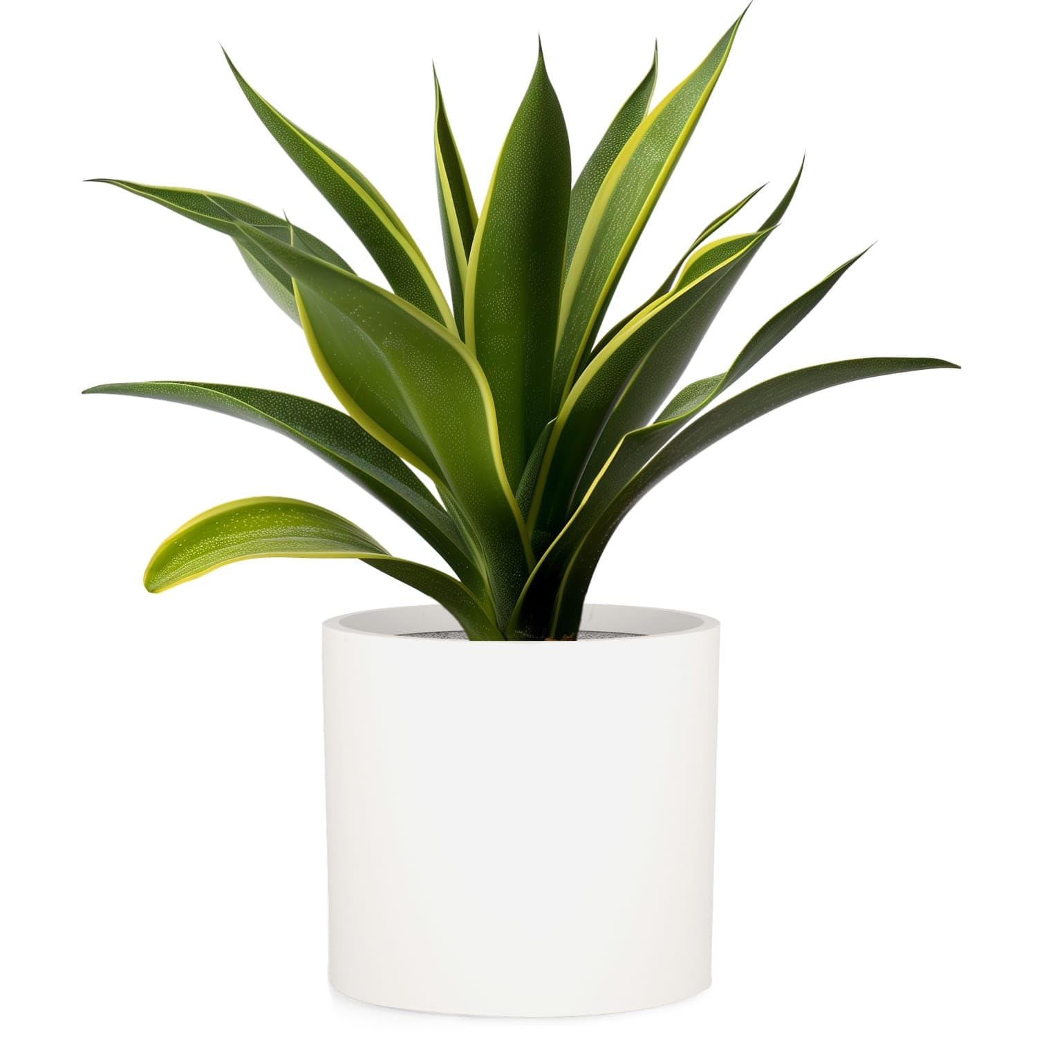 Fox & Fern Large 12 Inch Plant Pot with Hidden Saucer - Premium ...
