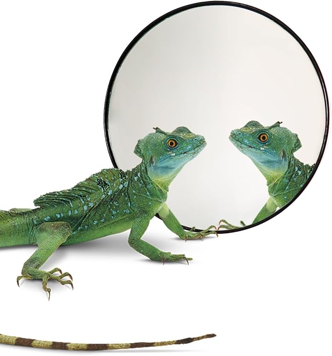 Amazon.com : Jinkoozz 5.1 Inches Lizard Mirror Toy, Reptile Mirror Toy ...