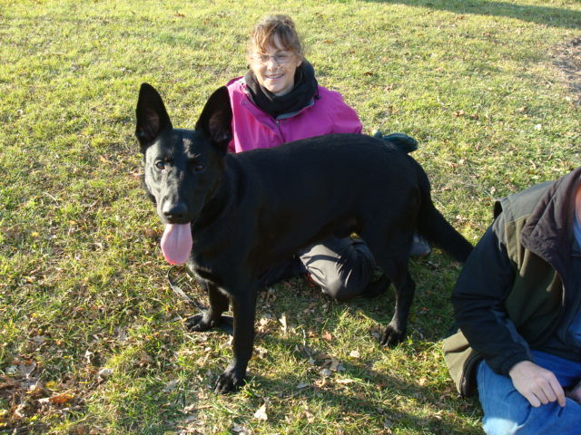 Amazon.com: Turn (Growing up in Search and Rescue Book 1) eBook : Gallagher, Sherri: Kindle Store