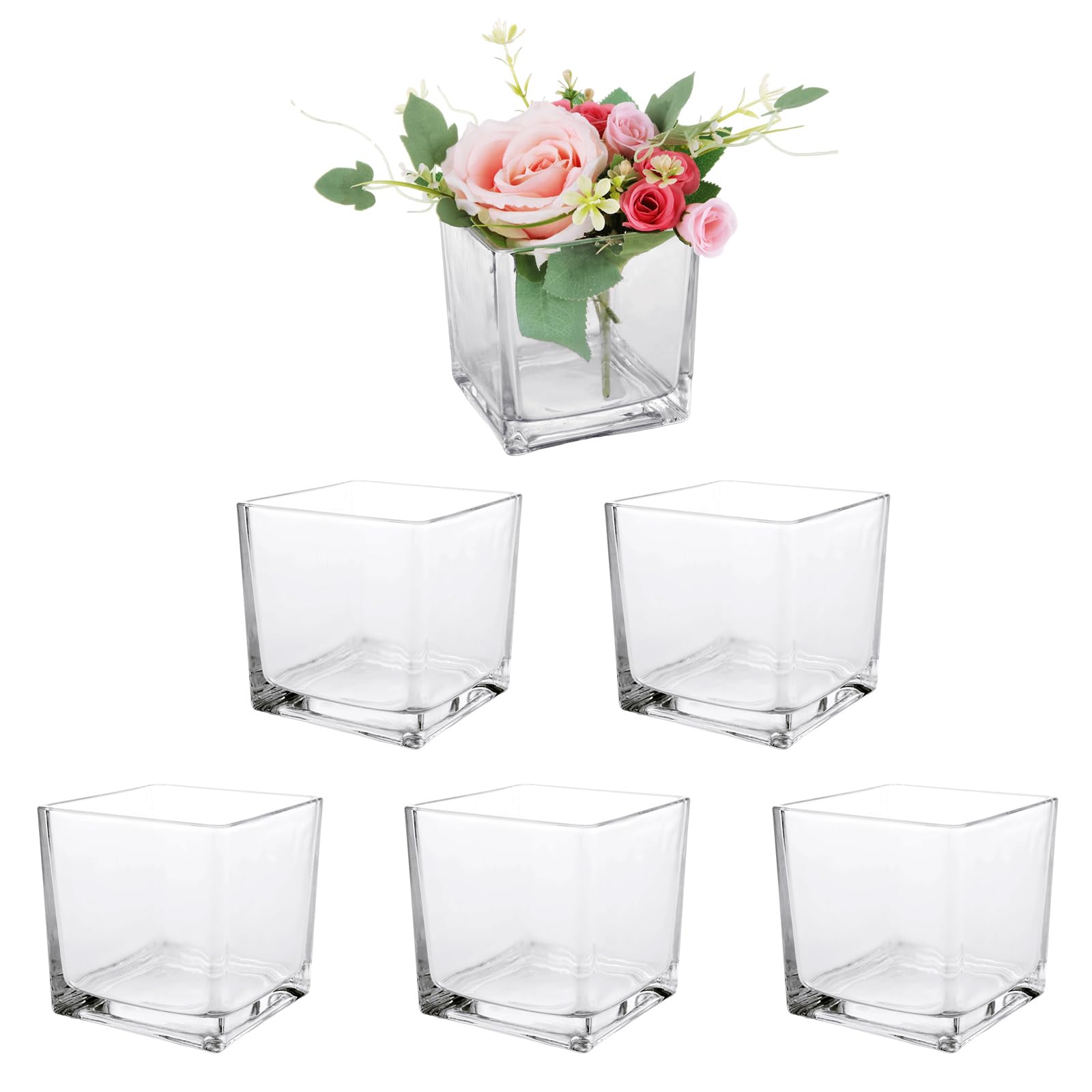 Amazon.com: LDHHYH 6 Pack 5 x 5 x 5 Inch Square Glass Vases, Clear ...