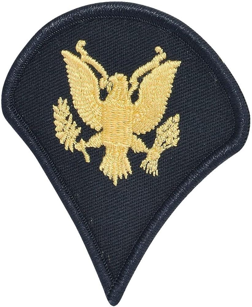 Amazon.com: Army Specialist E4 SPC Cloth Rank for ASU Size Male ...