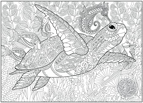 Abstract Turtle Coloring Pages