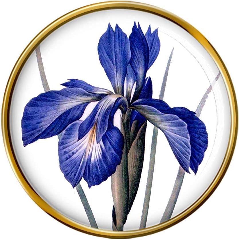 Blue Iris Pin Badge : Amazon.co.uk: Fashion