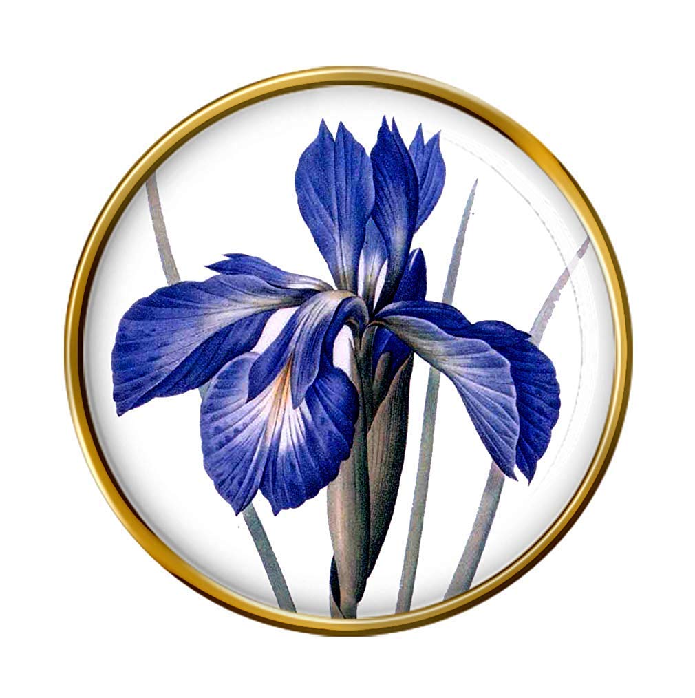 Blue Iris Pin Badge : Amazon.co.uk: Fashion