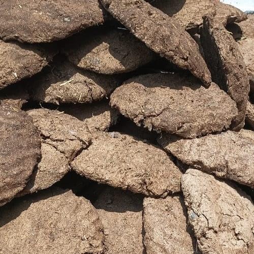 Cow Dung for Pooja,Gobar ke Upale,kande for Havan Puja(Pack of 30 ...