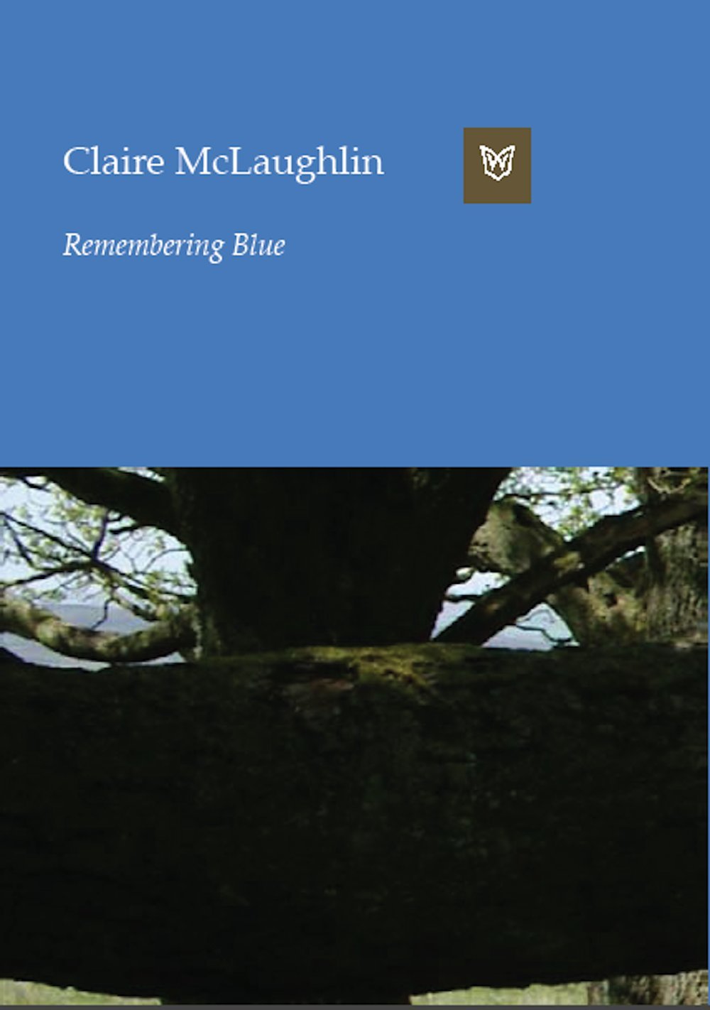 Remembering Blue - Kindle edition by McLaughlin, Claire. Literature ...