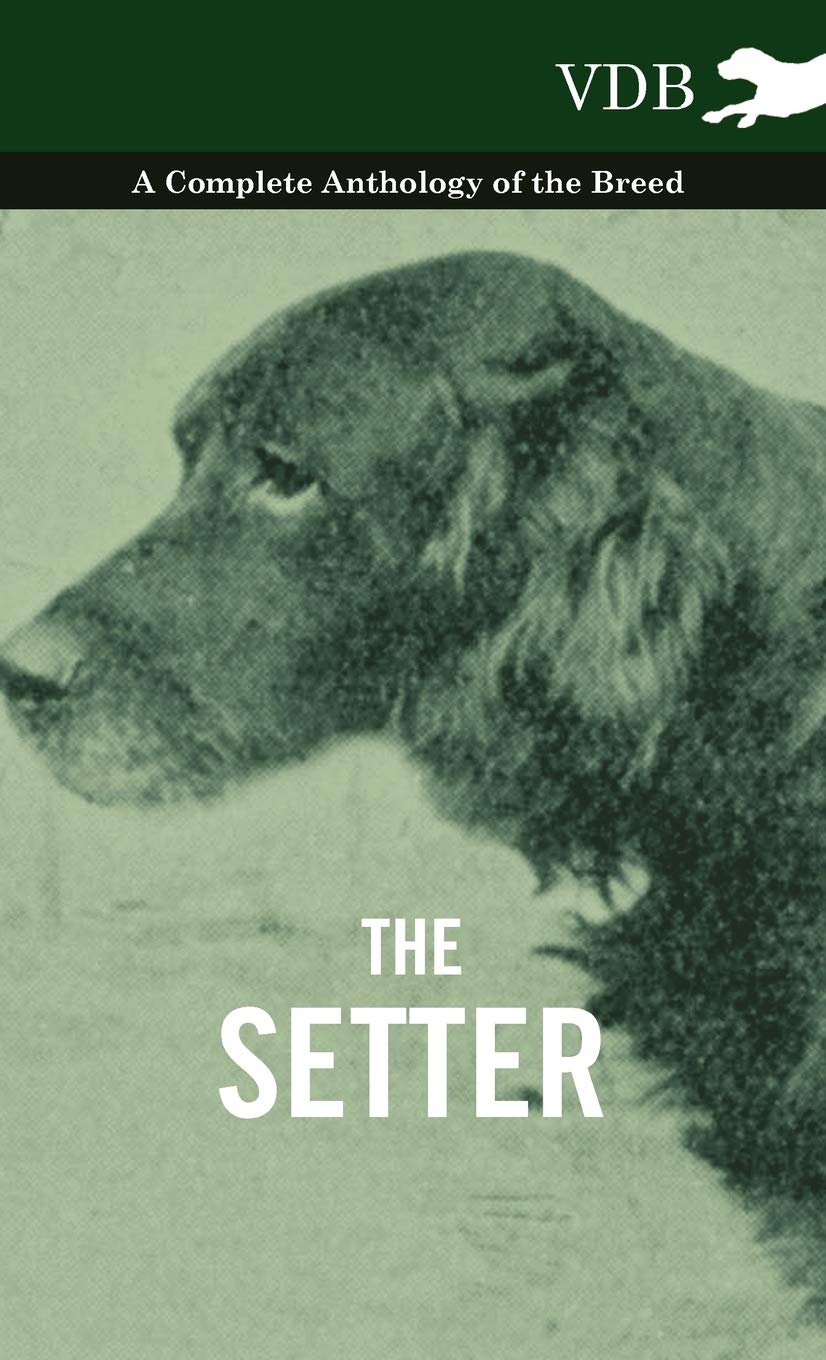The Setter - A Complete Anthology of the Breed: Various: 9781445527758 ...