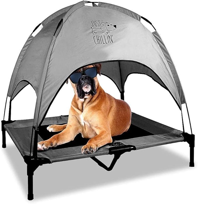 Amazon.com : Floppy Dawg Just Chillin' Elevated Dog Bed. Cool Cot with ...