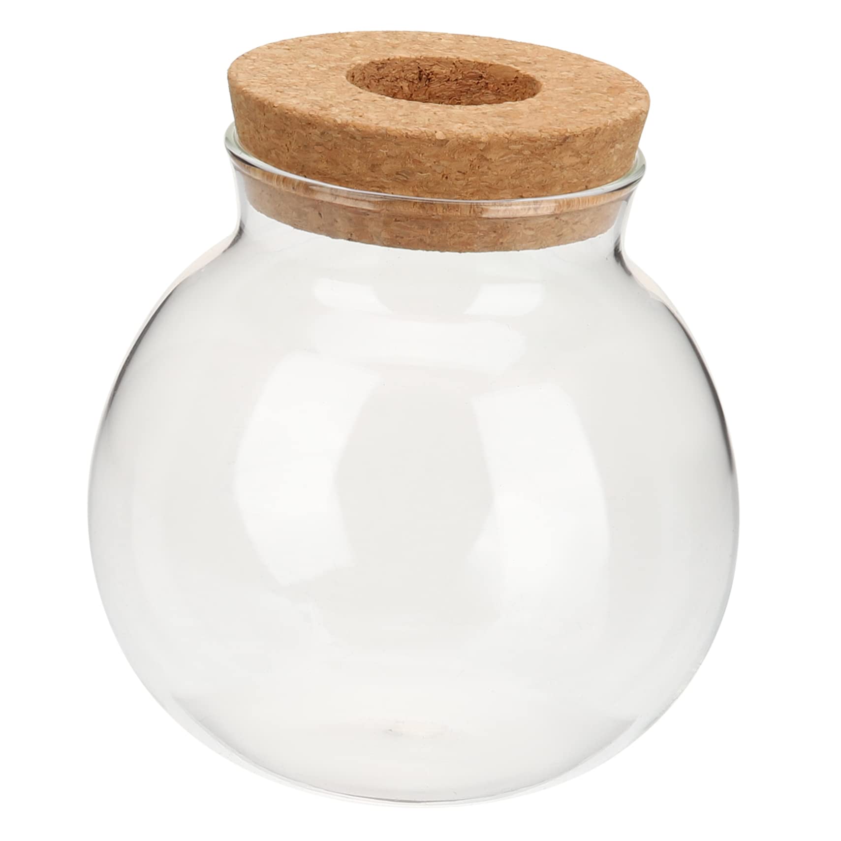 Amazon.com: Hydroponic Glass Bottle Water Planting Vase Plant ...