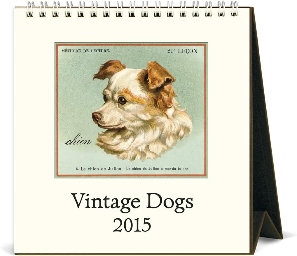 Amazon.com: Cavallini Papers 2015 Vintage Dogs Desk Calendar : Office ...