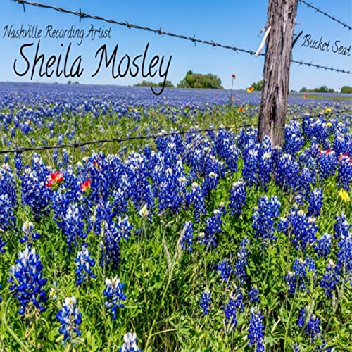 Play Bucket Seat by Sheila Mosley on Amazon Music