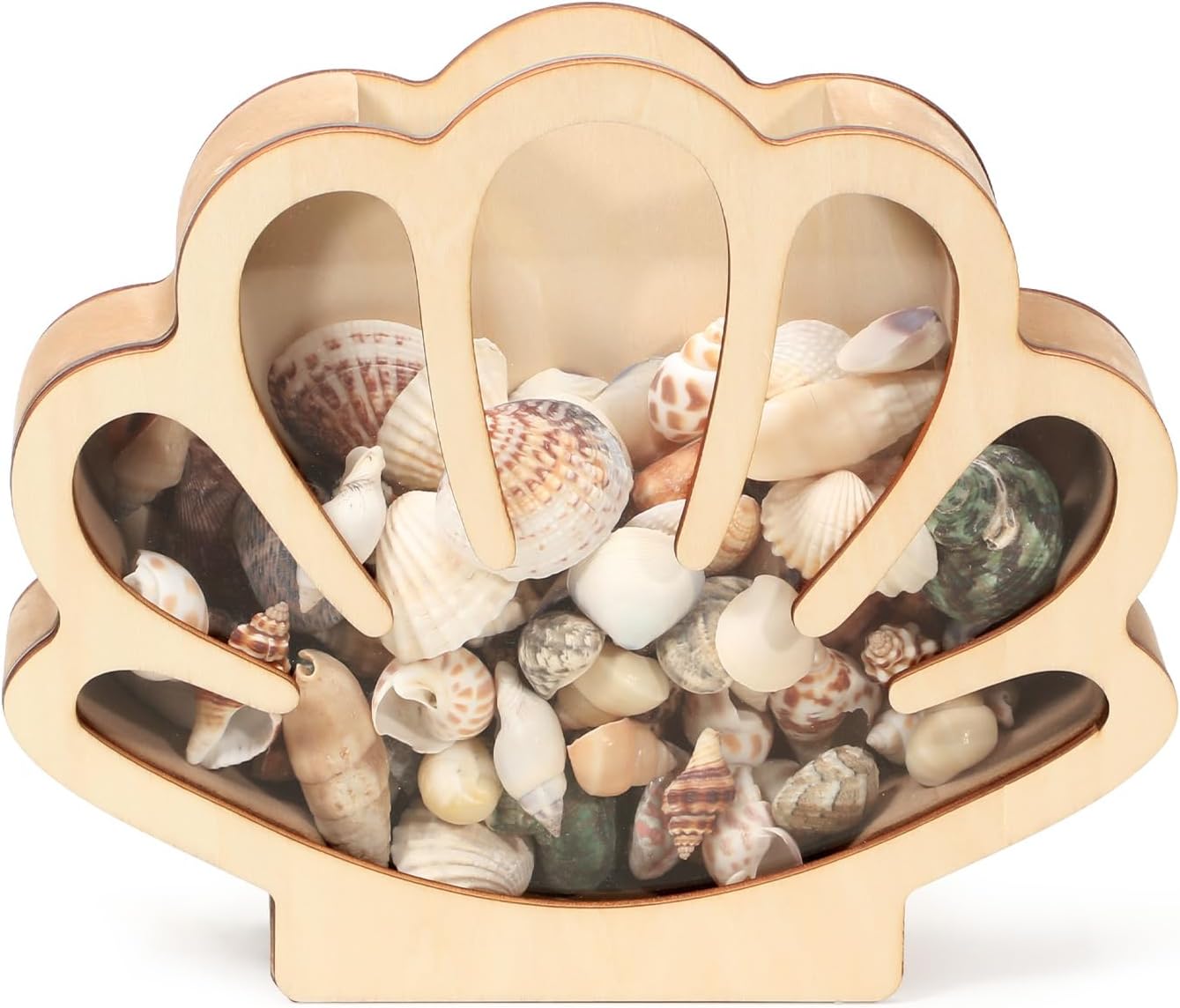 Amazon.com: Primitives by Kathy Beach Treasures Shell Holder, Rustic ...