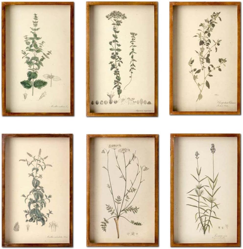 Amazon.com: Creative Co-Op Wood Framed Portraits of Botanical Prints ...