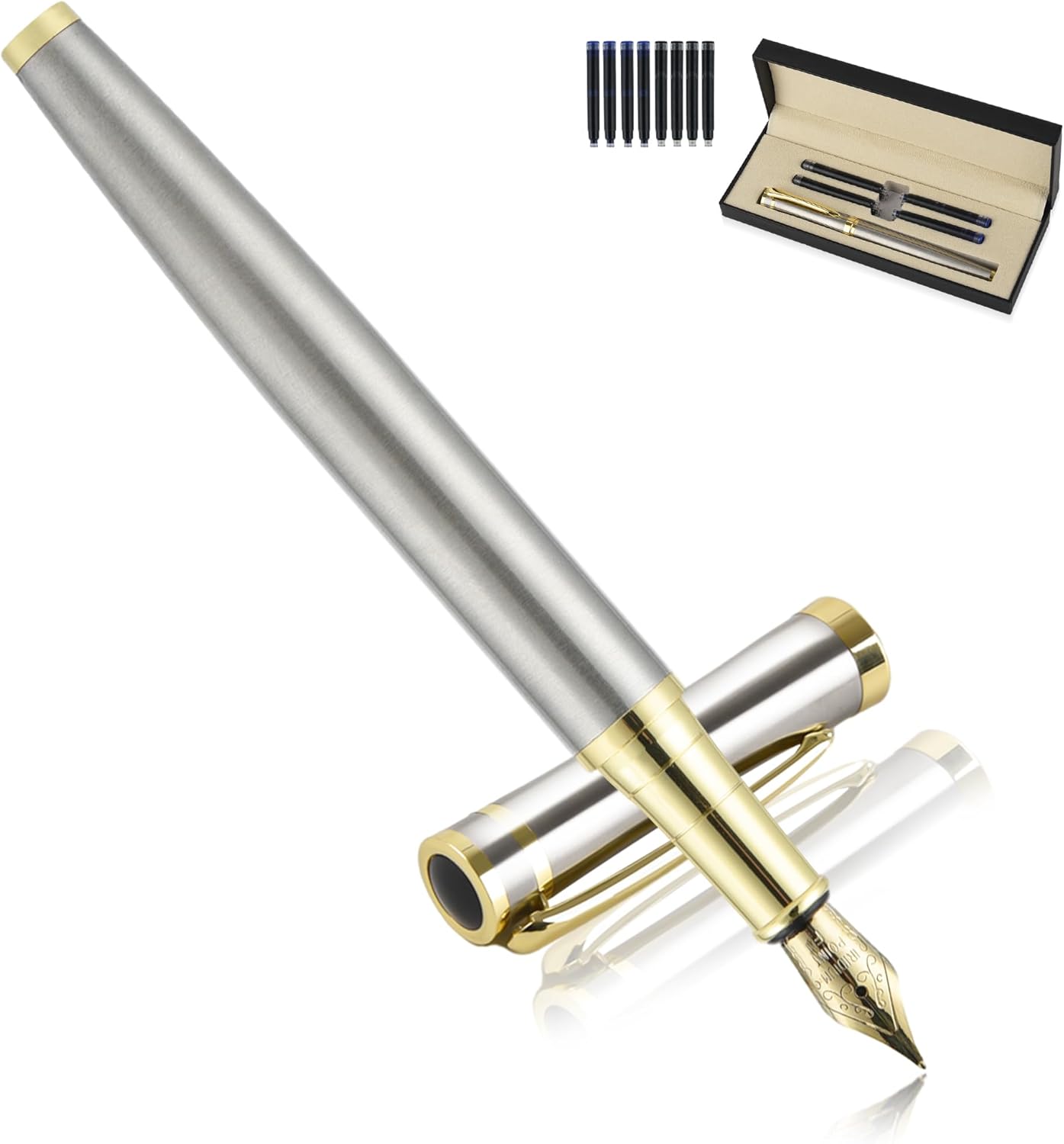 Amazon.com : lucilynx Fountain Pen, Medium Nib, Includes 8 Ink ...