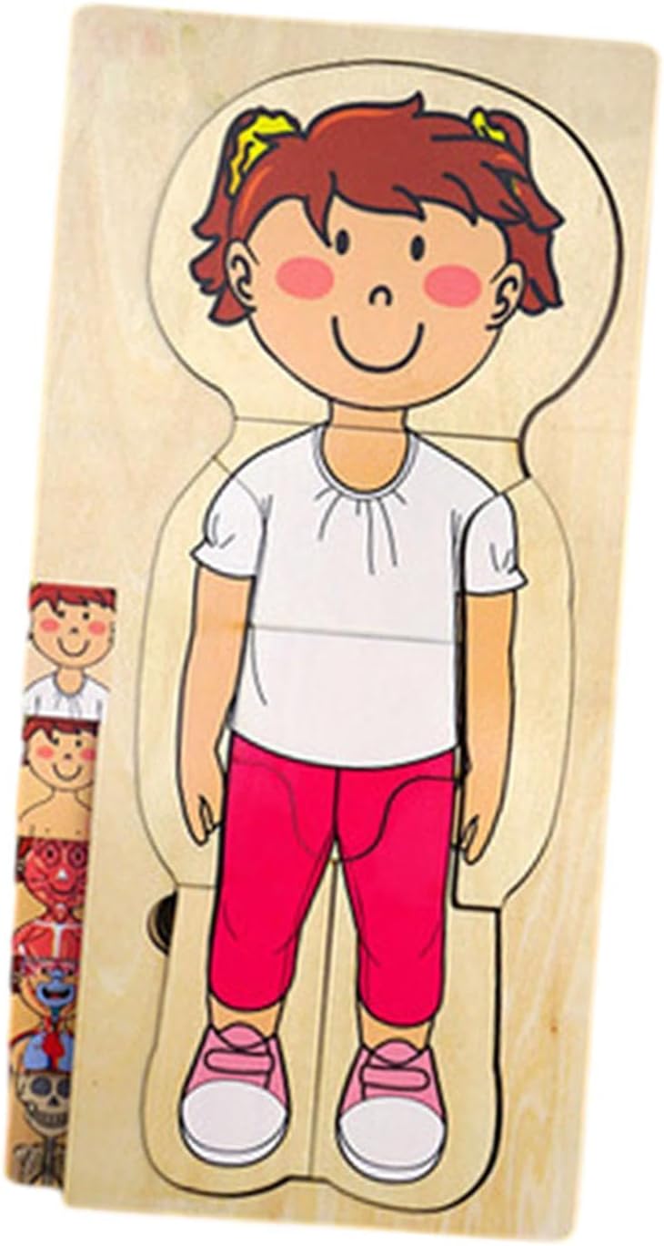 Rompecabezas Del Cuerpo Humano Rompecabezas Rompecabezas De Partes