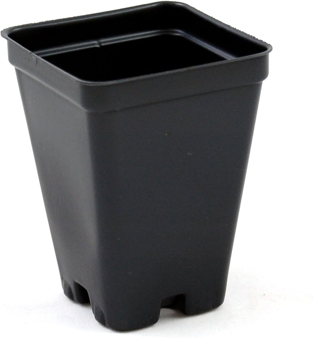 Amazon.com: Square Greenhouse Pots 3.5 inch x 5 inch- Black - Plastic ...