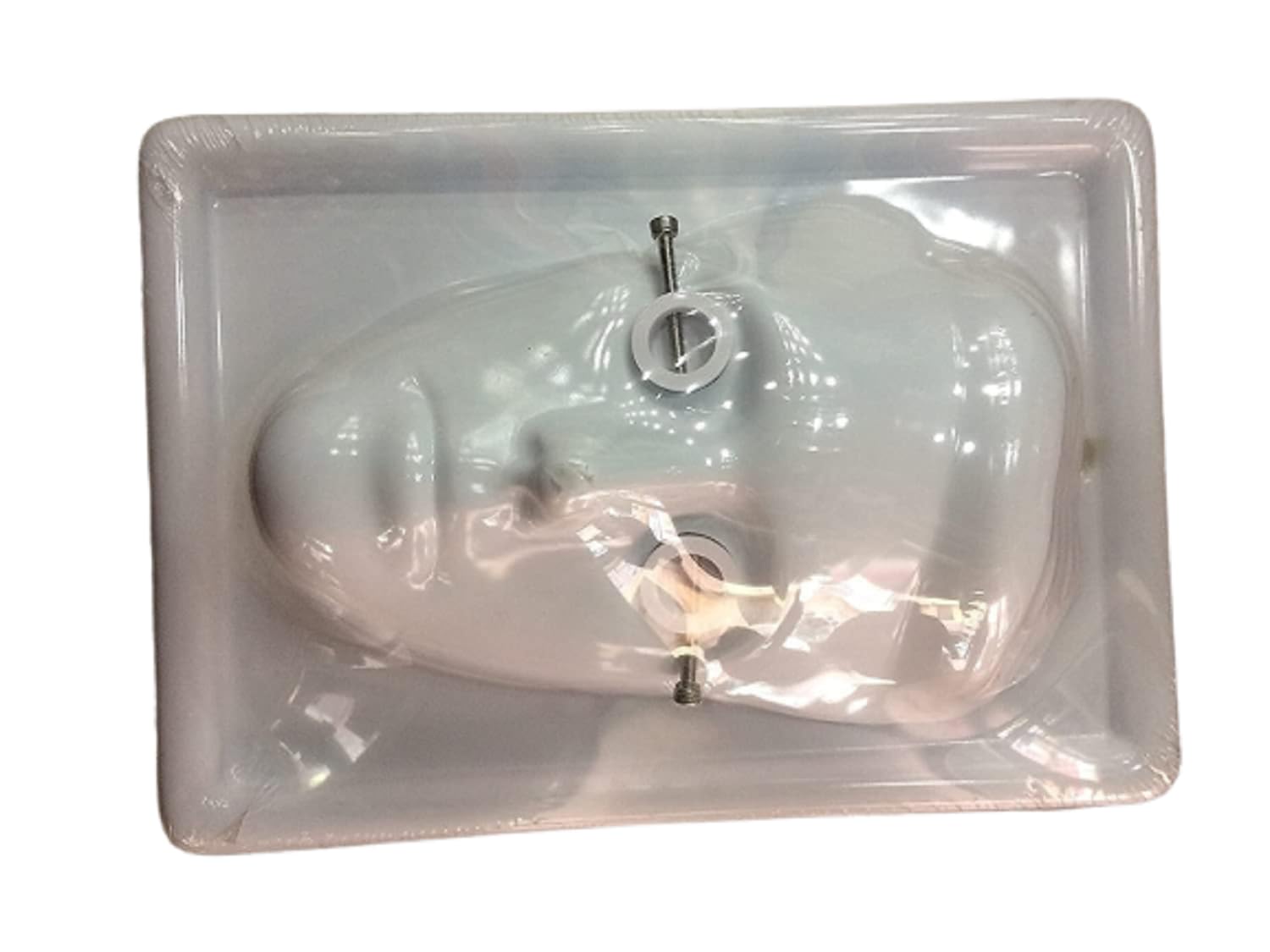 Buy AjantaExports Phaco practice eyes Surgical training model Cataract ...