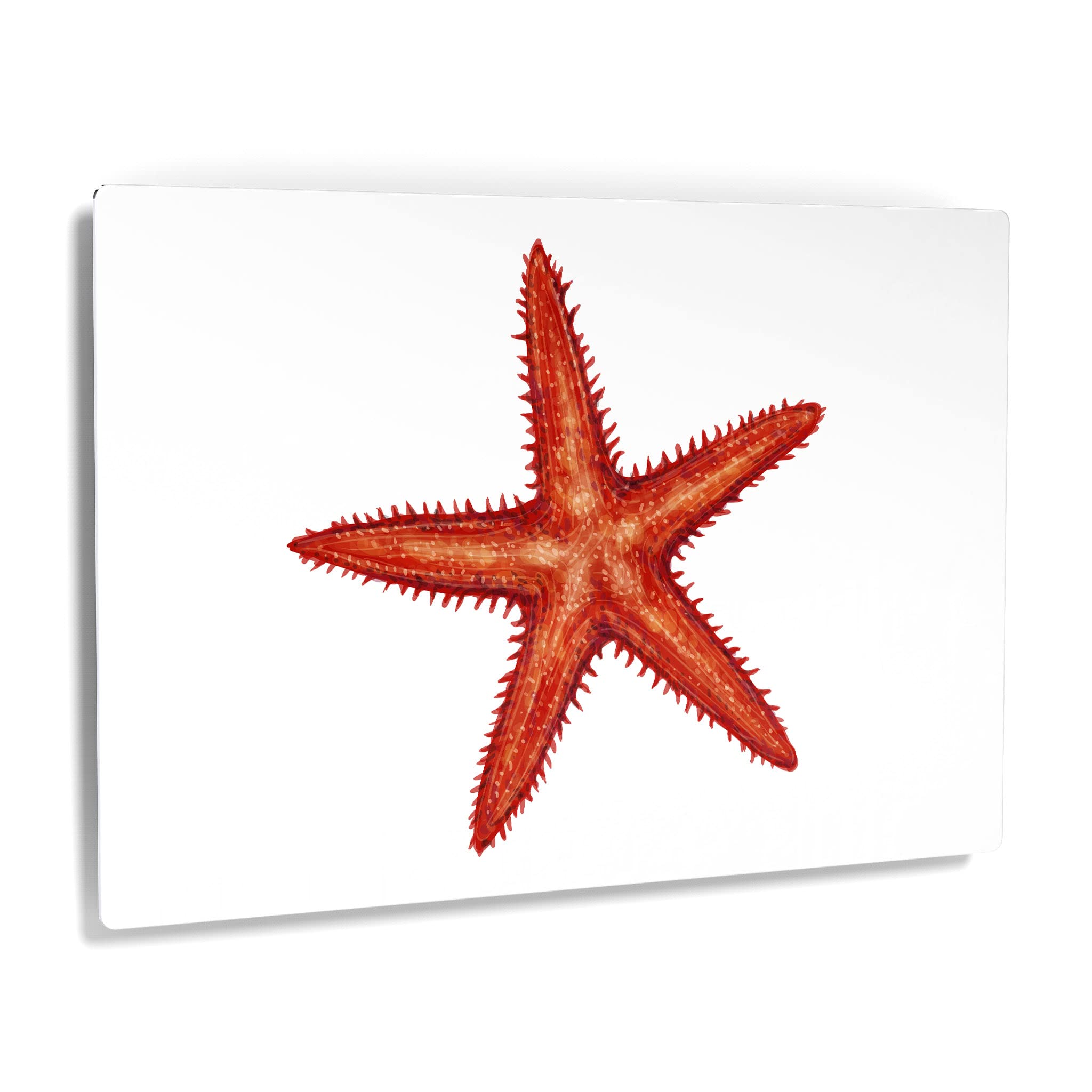 Nautical Starfish Design